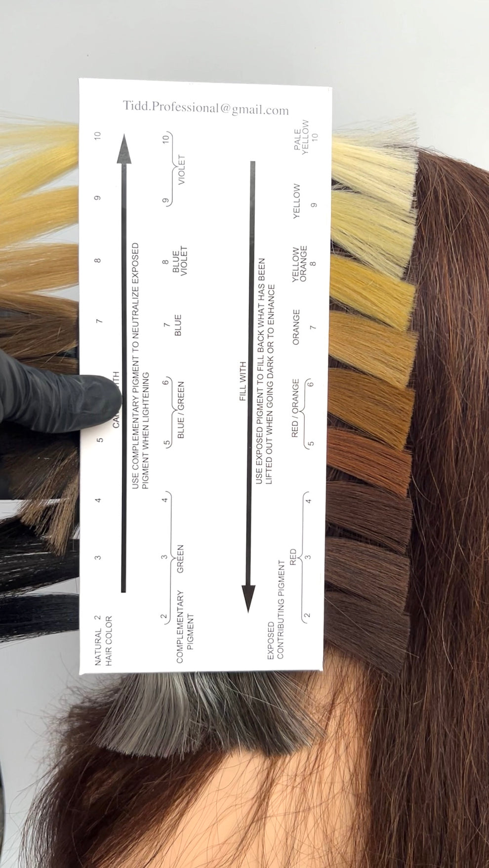 Hair Level Chart, Hair Level Finder – tiddprofessional