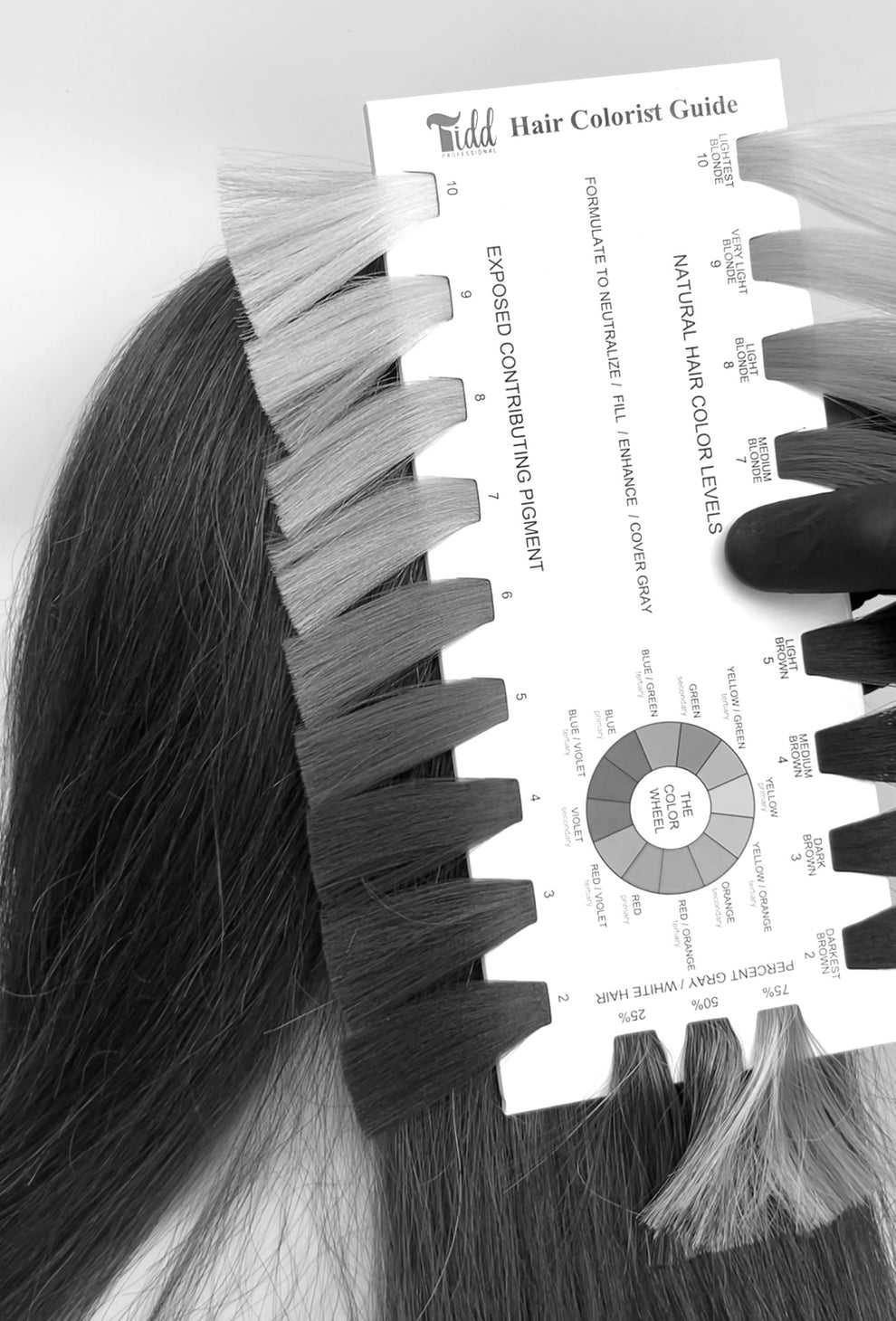 Hair Level Chart, Hair Level Finder – tiddprofessional